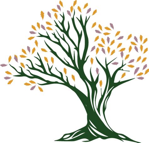 About Us Willow Oak Psychology