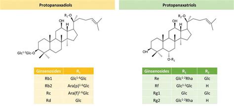How Do Extraction Methods And Biotechnology Influence Our Understanding And Usages Of
