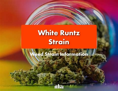 White Runtz Strain Review Weed Strain Guide