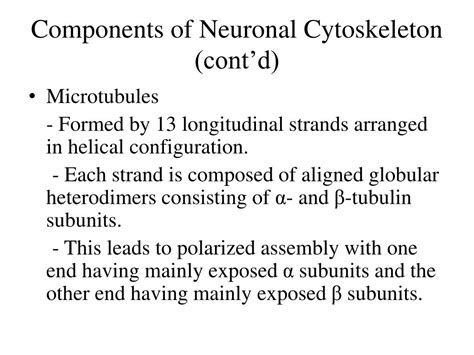 Ppt Neuronal Cytoskeleton Structure And Function Powerpoint Presentation Id 663334