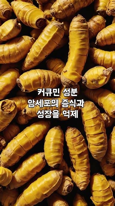 암세포가 무서워하는 음식 10가지 Top10 지식 Tmi 암 음식 Youtube