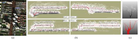 Figure 4 From A New Clustering Based Framework To The Stem Estimation And Growth Fitting Of
