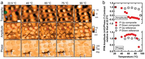 Temperature Switching Of The Electrical Polarization Of A Pre‐poled Download Scientific Diagram