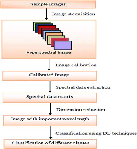 Flowchart For Integrated Hsi Analysis Download Scientific Diagram