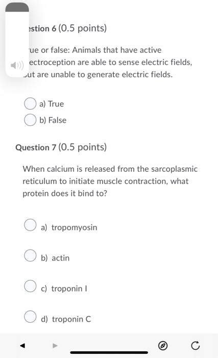 Solved Question 1 0 5 Points Which Of The Following