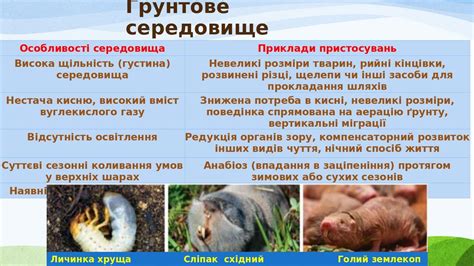 Презентація «§ 46 Середовища існування тварин Пристосування тварин 7клас НУШ Презентація