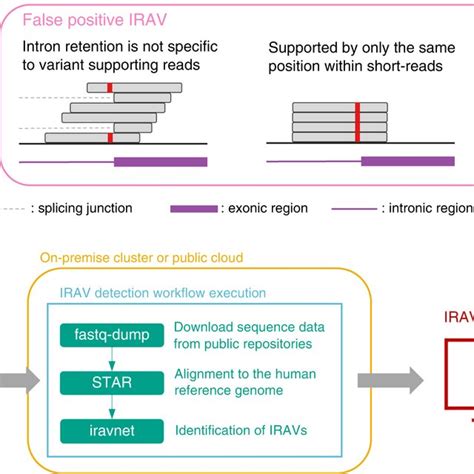 Schematics Of Identification Intron Retention Associated Variants A Download Scientific Diagram