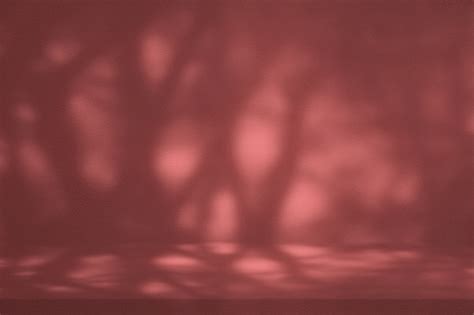 밝은 산호 톤의 콘크리트 벽 질감 배경에 자연스러운 그림자가 있는 치장 벽토 테이블 화장품 프레젠테이션 배경 디스플레이 및 모형에 적합합니다 0명에 대한 스톡 사진 및 기타