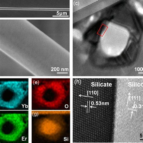 Microstructure Characterization Of The Si Eys Core Shell Nanowires Download Scientific Diagram