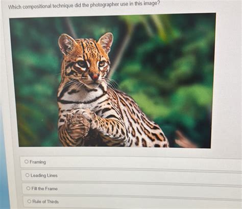 Which Compositional Technique Did The Studyx