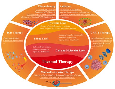 Synergetic Thermal Therapy For Cancer State Of The Art And The Future