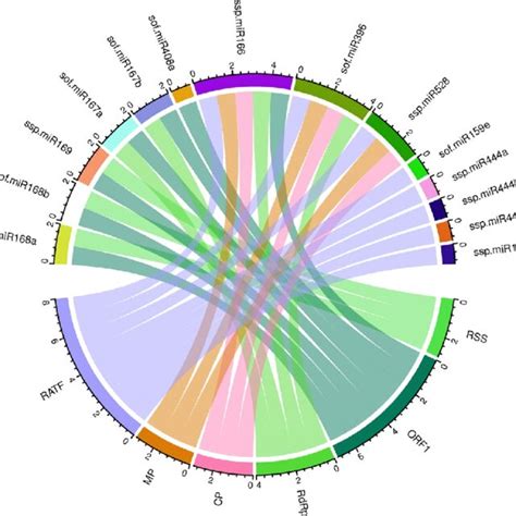 A Schematic Interaction Diagram Of Sugarcane Target Interaction In The