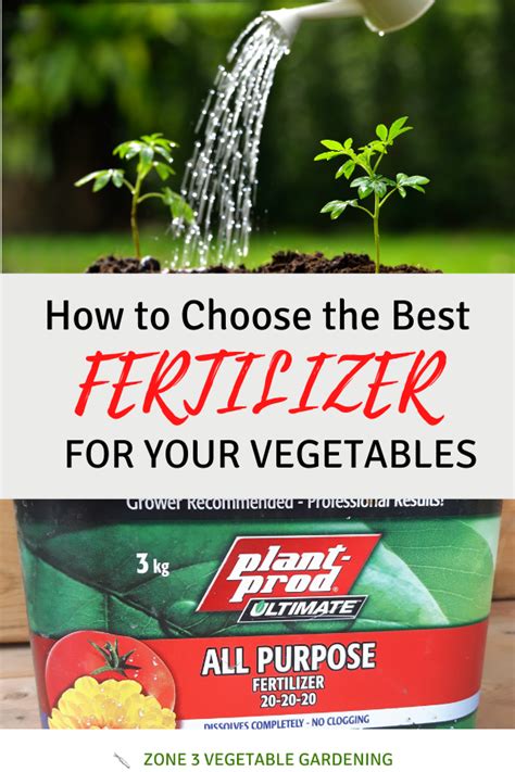How To Choose The Best Plant Fertilizer