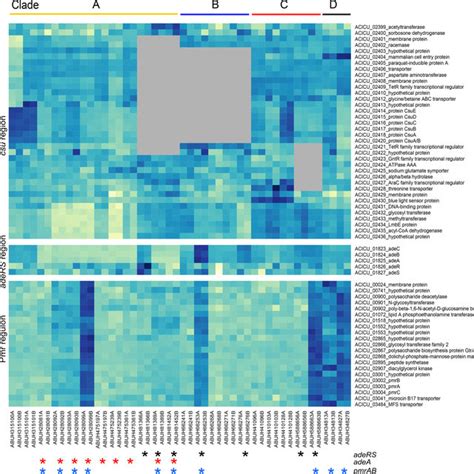 Gene Expression Deseq2 Normalized Counts In Regions Of Convergent