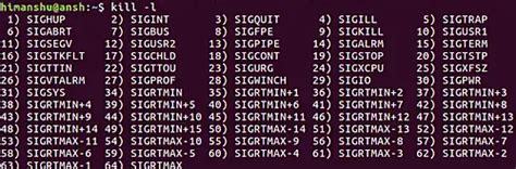 Sameh Attia Linux Kill Command Tutorial For Beginners 5 Examples