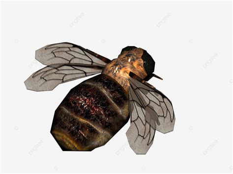 Fat Bumblebee Flies Around Graphics Compound Eyes Hum Wings Png