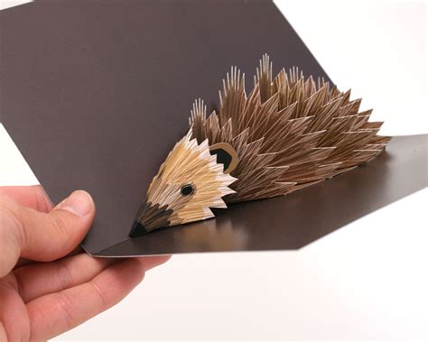 Hedgehog Pop Up Card 3d Birthday Card Handmade In Uk Etsy Uk
