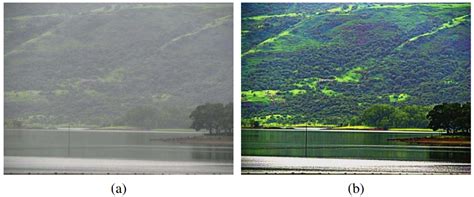 Review Of Image Smoothing Algorithms Ilia Moiseev