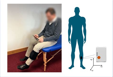 Illustration Of IMU Placement Orientation And User Setup Figure Taken Download Scientific