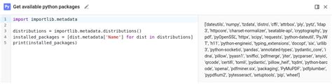 Custom Python Runner Seatable Admin Manual