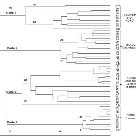 dendrogram constructed with upgma clustering method among 50 germplasm