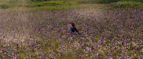 Pin By Hunter Hughes On My Picture Wall Twilight Saga Twilight