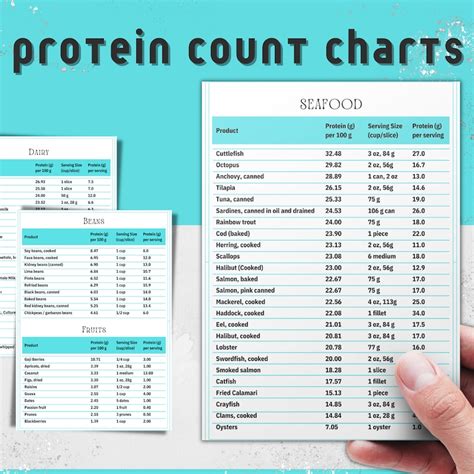 Food Chart For Muscle Gain Etsy