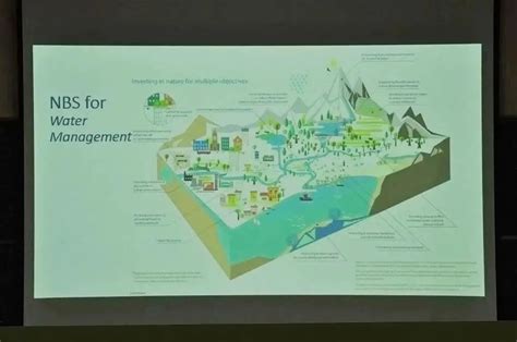 筑 建生态自然 筑城市发展 Qingdao City University