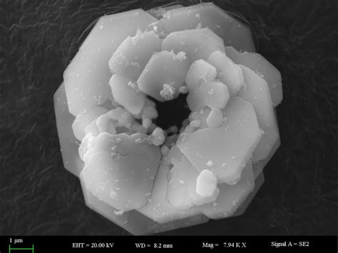 How To Interpret The Parameters Of Sem Scanning Electron Microscope