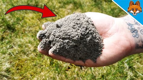 Рассыпьте золу на газоне и УВИДИТЕ, ЧТО ПОЛУЧИТСЯ 💥 - YouTube