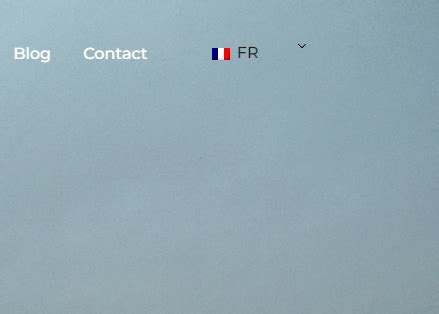 Custom CSS For Language Switcher WordPress Org