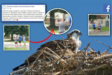 Sve Vesti Dana Na Temu Gugutka Espreso