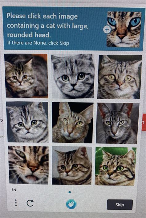 These Are Getting Out Of Hand Rmildlyinfuriating