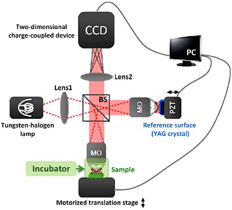 Schematic Diagram Of Ff Oct Based On The Linnik Interference