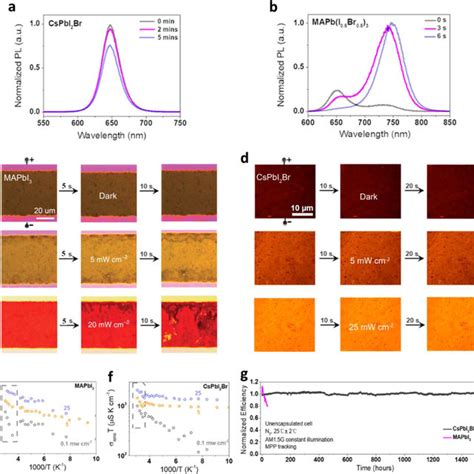 Pdf Inorganic Cspbi 2 Br Perovskite Solar Cells The Progress And
