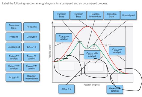 Label The Following Reaction Coordinate Diagram Answered 1 Answer The