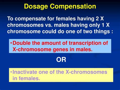 Ppt Sex Chromatin Bodies Barr Body Powerpoint Presentation Id850138