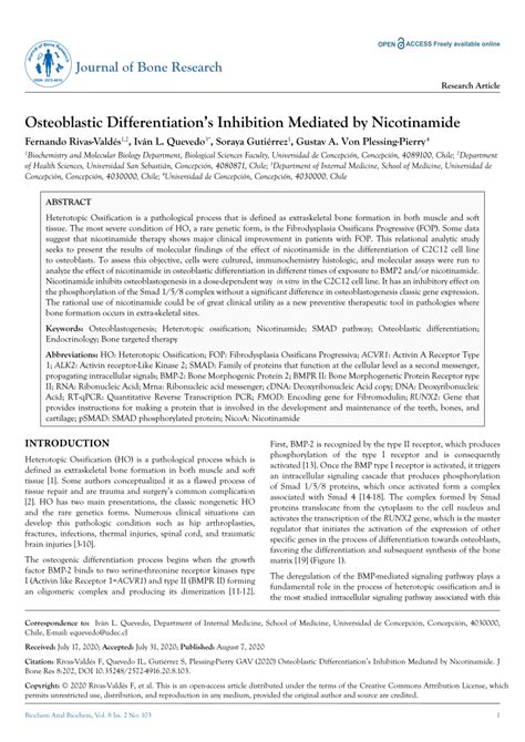 Pdf Journal Of Bone Research Osteoblastic Differentiations Inhibition Mediated By Nicotinamide