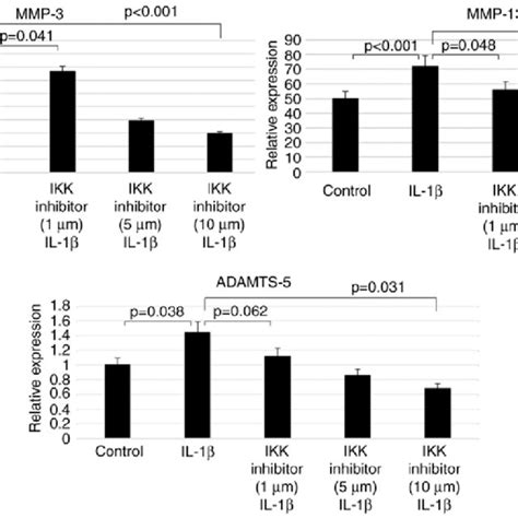 Levels Of Mmp 3 Mmp 13 And Adamts 5 Mrna Following Il 1β Stimulation Download Scientific