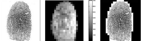 Figure 2 From A Novel Method For Fingerprint Core Point Detection