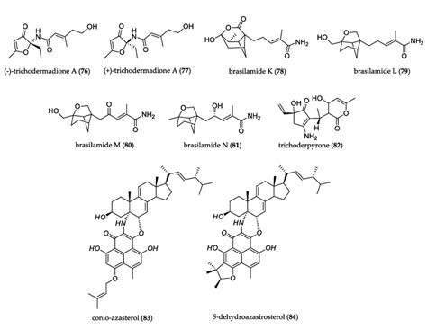 Structure Of Other Nitrogen Containing Compounds Download Scientific