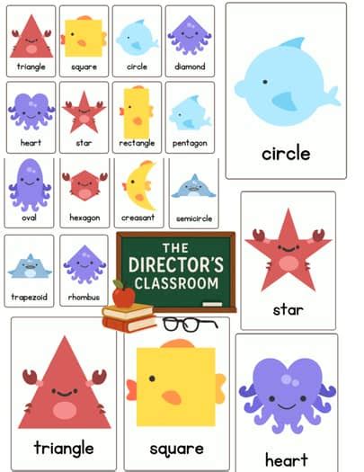 Summer Bundle By The Directors Classroom Tpt