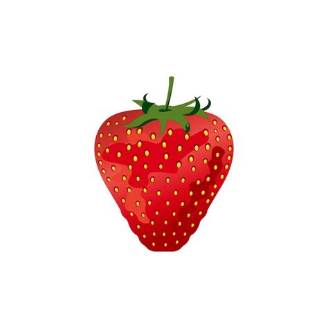 Premium Vector Strawberry