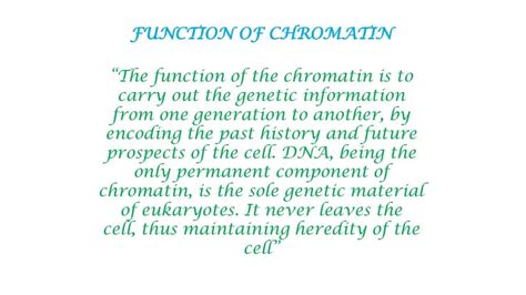 572770707 Structure Of Eukaryotic Genome Pdf Biological Sciences Science