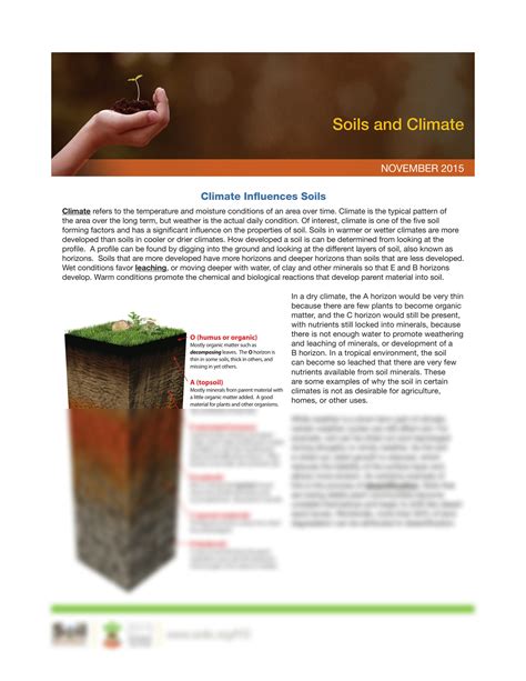 SOLUTION: November soils overview - Studypool