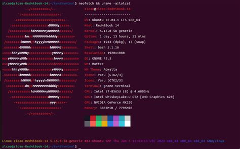 Kvm虚拟化之小型虚拟机kvmtool的使用 Csdn博客