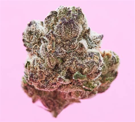 How To Cure Weed Step By Step Guide Weedmaps