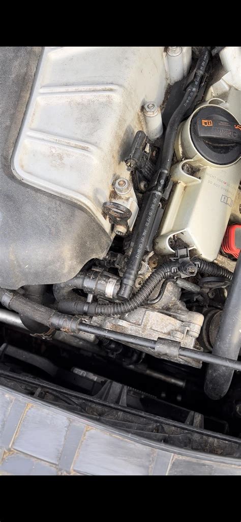 Wires Chewed By Rodent Help R Audi