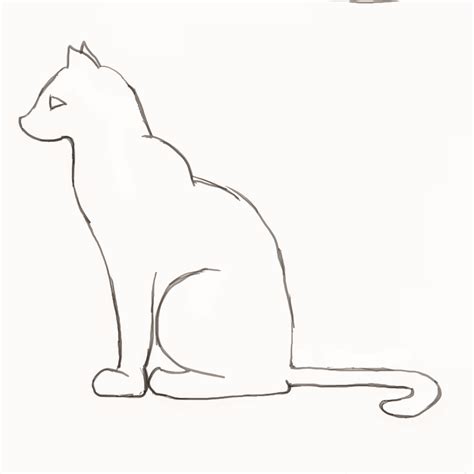 How To Draw A Cat Step By Step