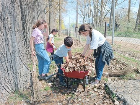 ღულელების საჯარო სკოლის ეზო მოსწავლეებმა დაასუფთავეს ეტალონი